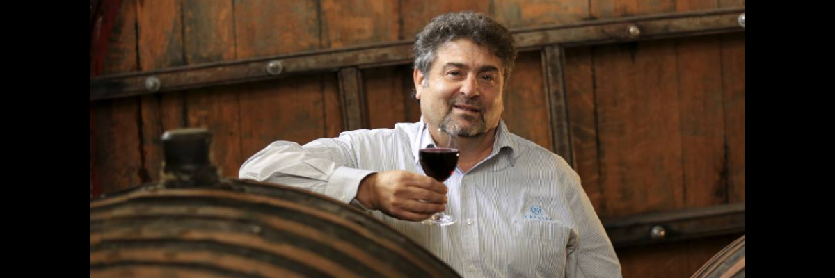 The innovations driving growth for Casella Family Wines