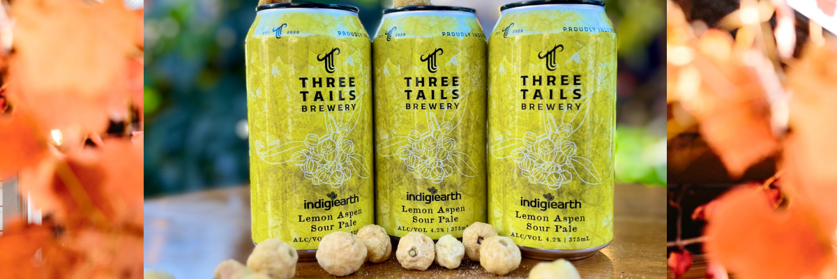 Three Tails & Indigiearth partner on native-inspired beer - Drinks Digest
